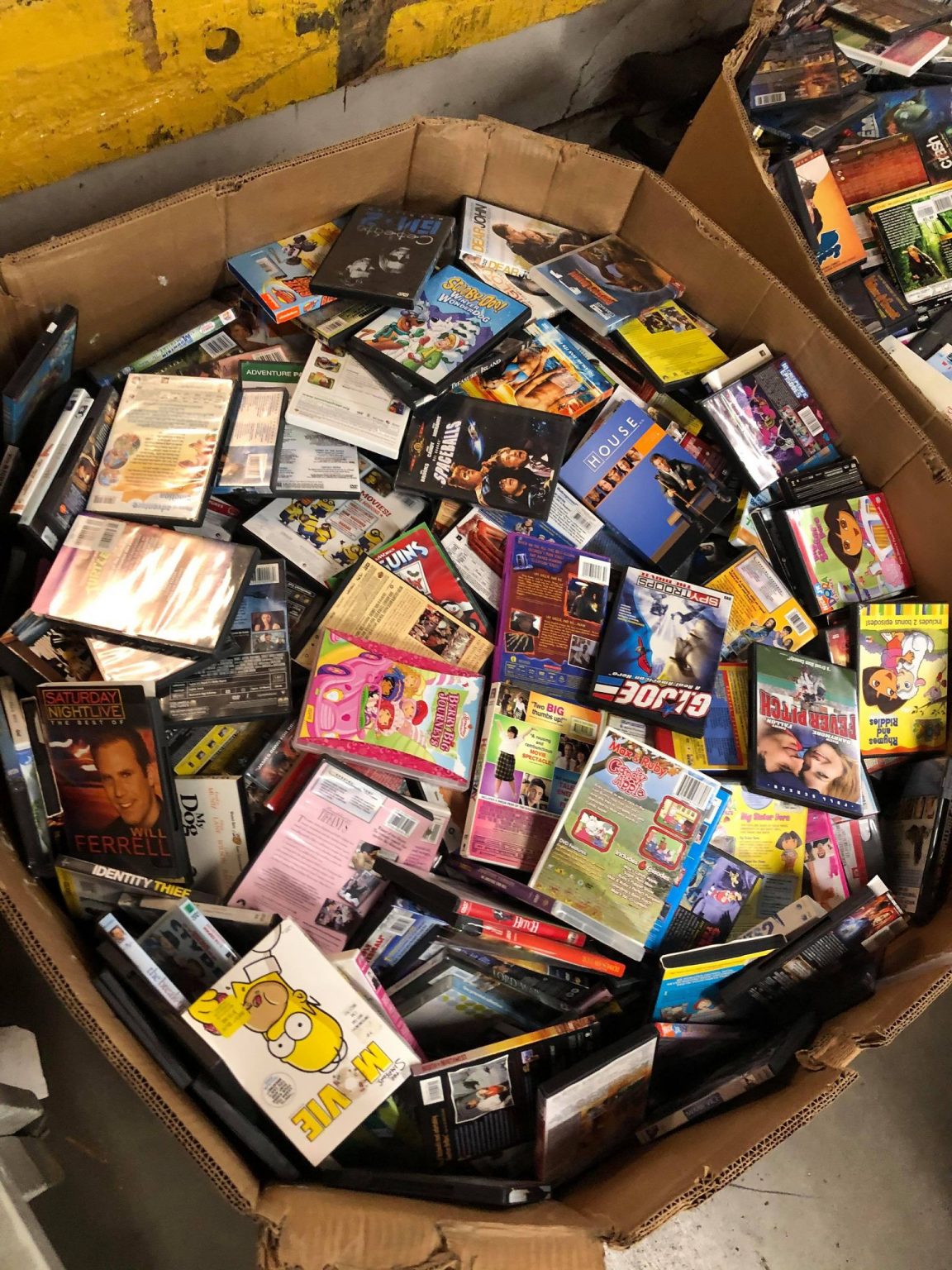 1400+ Mixed Gaylord Bulk DVDs – Your Direct Source For Wholesale Dvds ...